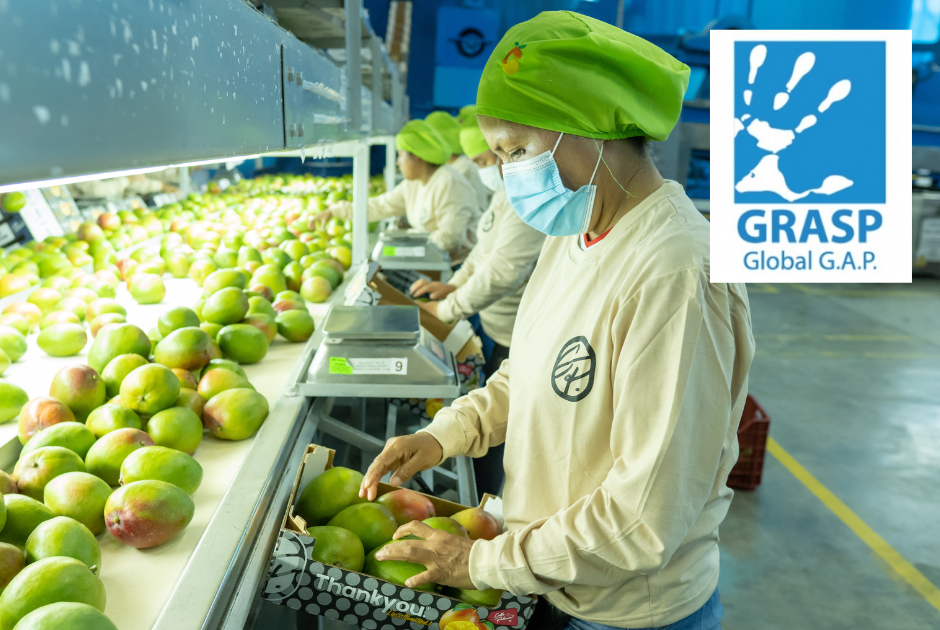 Obtuvimos la prestigiosa certificación GRASP: orgullo y excelencia en ...